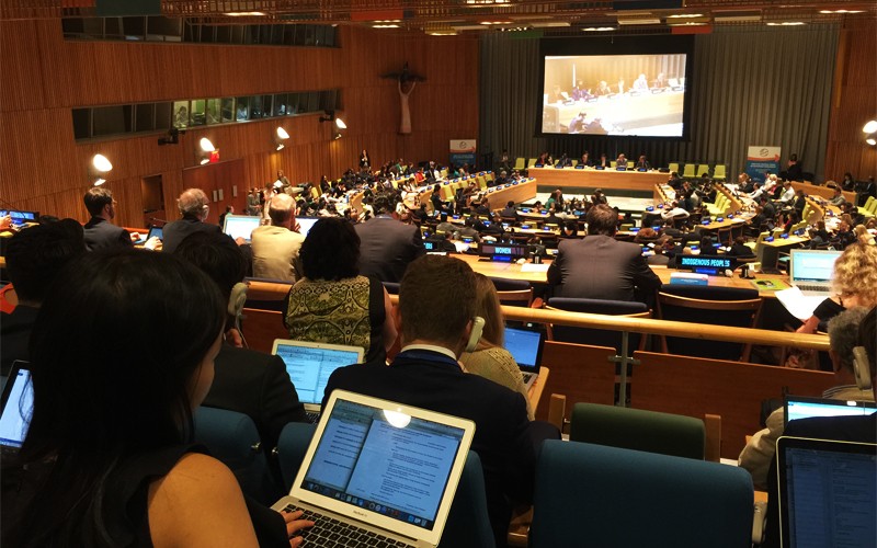 LBV prezentas rekomendojn okaze de la Altnivela Kunsido de la Ekosok de ...